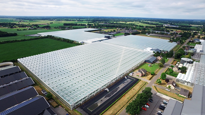 Energy savings, higher yield and better quality at Kwekerij Aarts