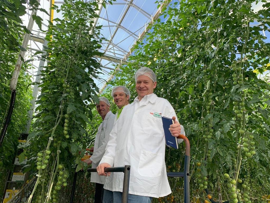 15% profit increase for Mexican grower - Plant Empowerment