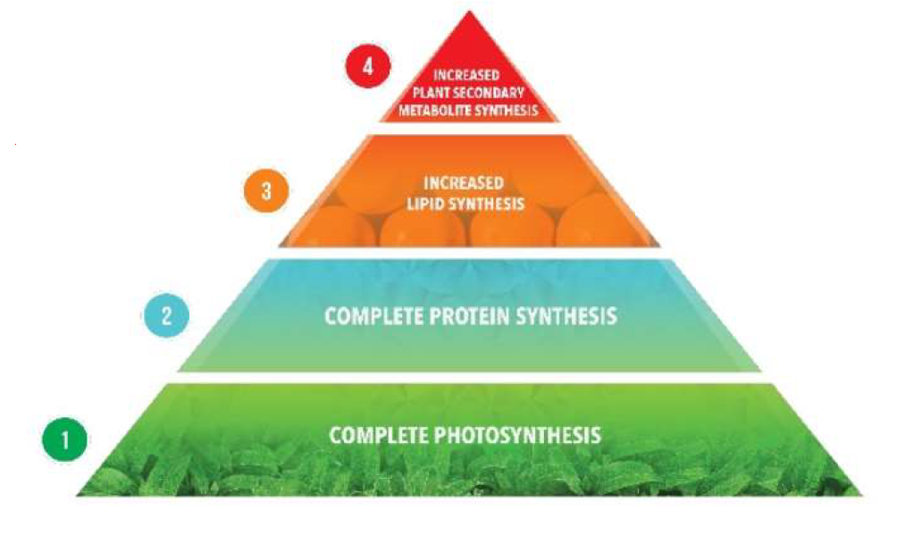Key balances help pollinators and biocontrol agents to do their job ...