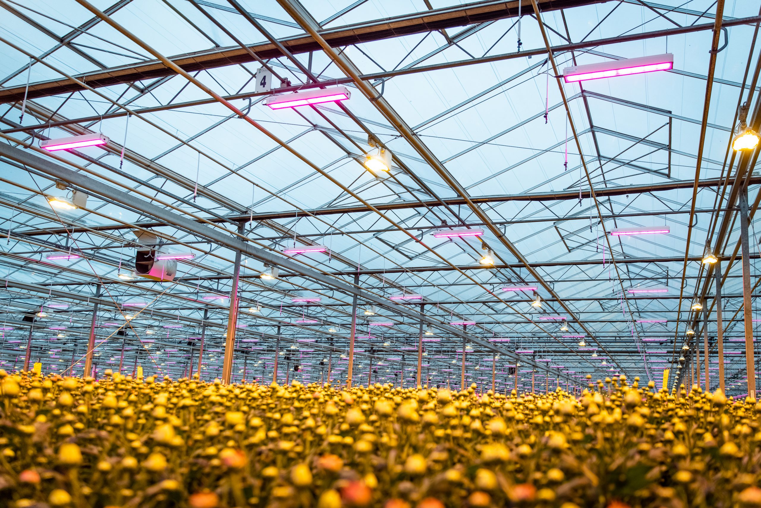 Tip: Control the Climate and lighting system - Plant Empowerment