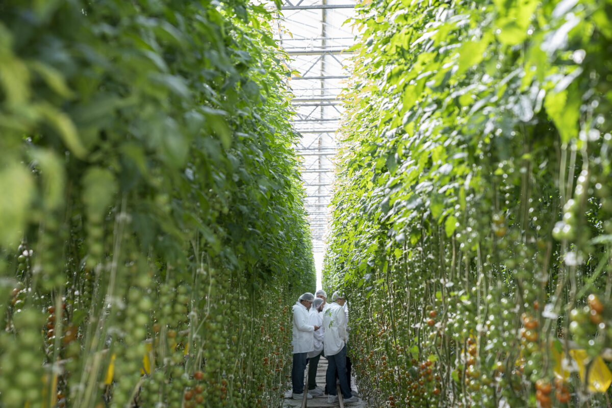 Tip: Make a plan before the beginning of your crop cycle - Plant ...