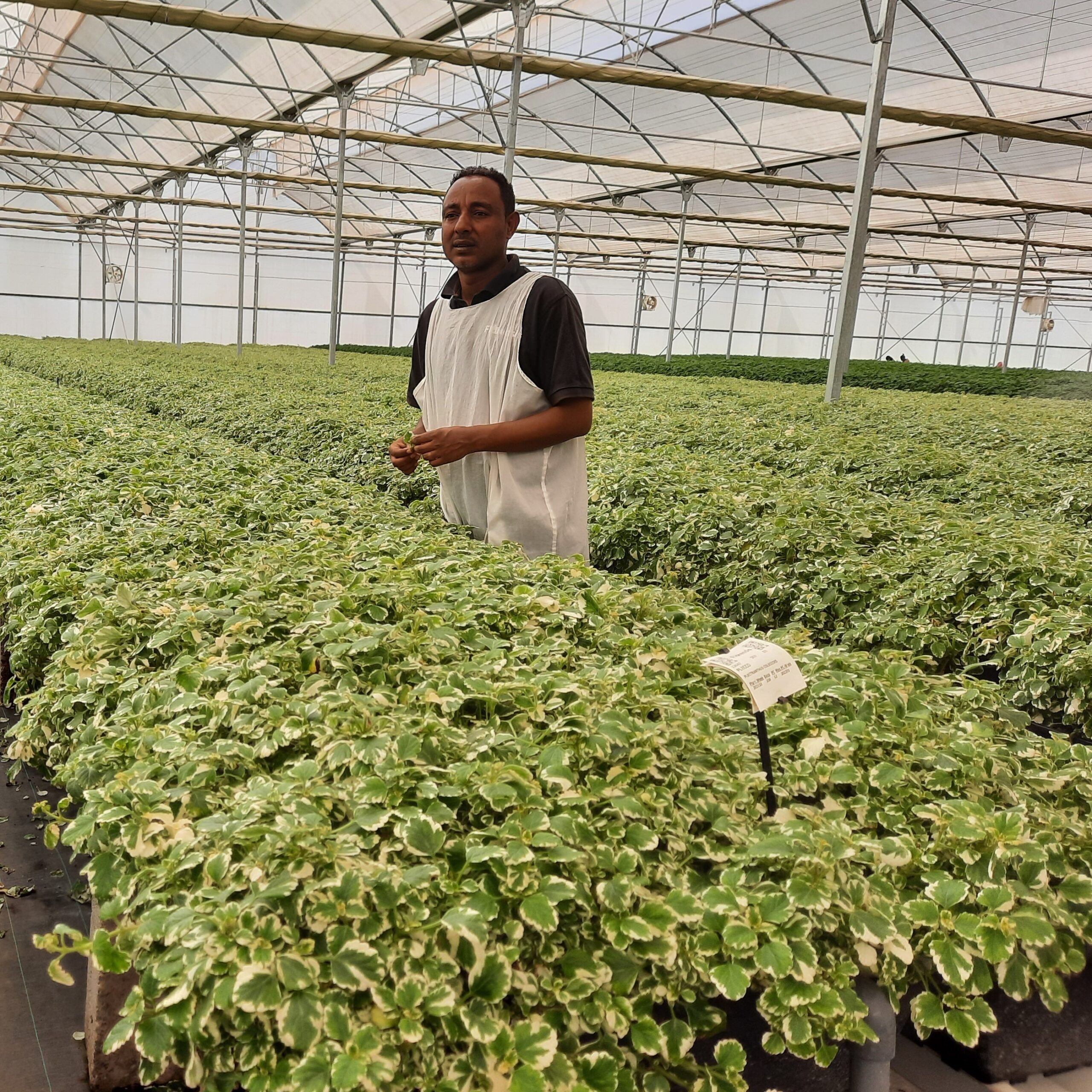 Florensis takes next step in Plant Empowerment - Plant Empowerment