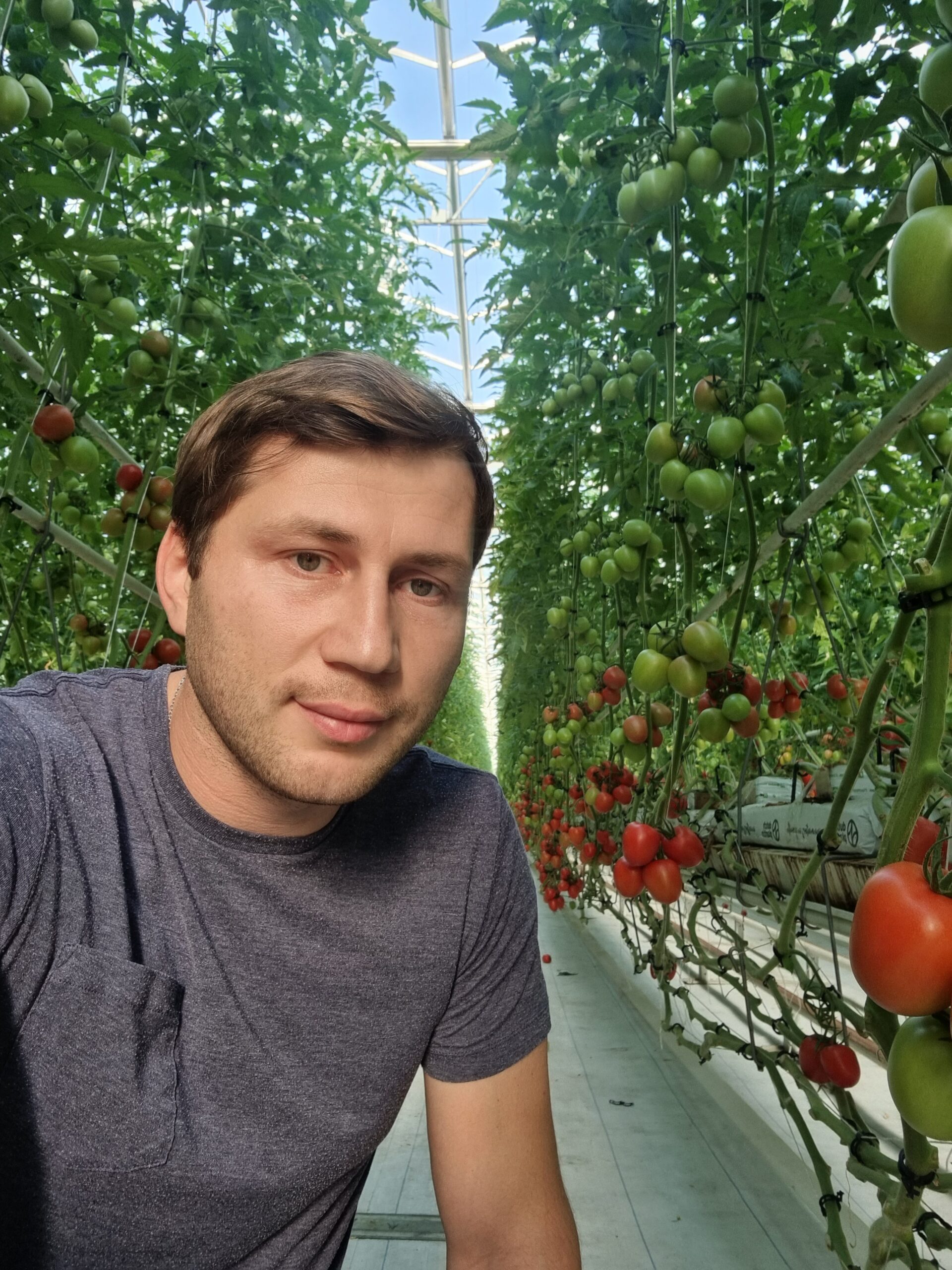 JSC Georgian Greenhouse Corporation creates a steadier growing ...