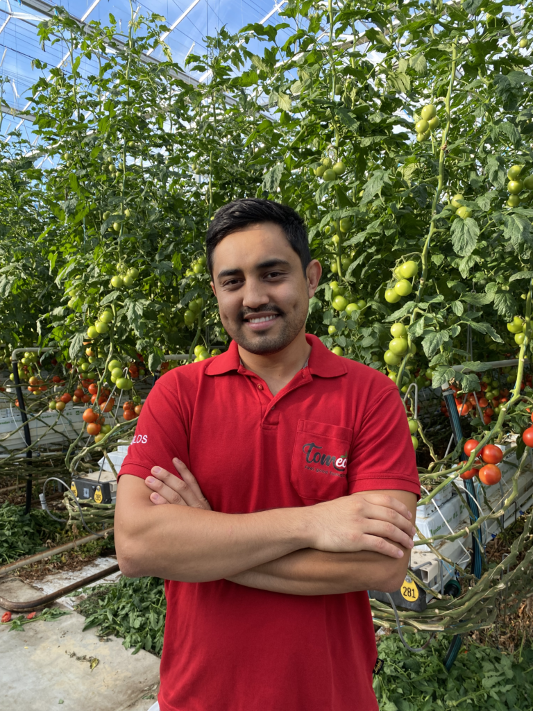 Green-fingered data growers at Tomeco; the new standard in horticulture industry