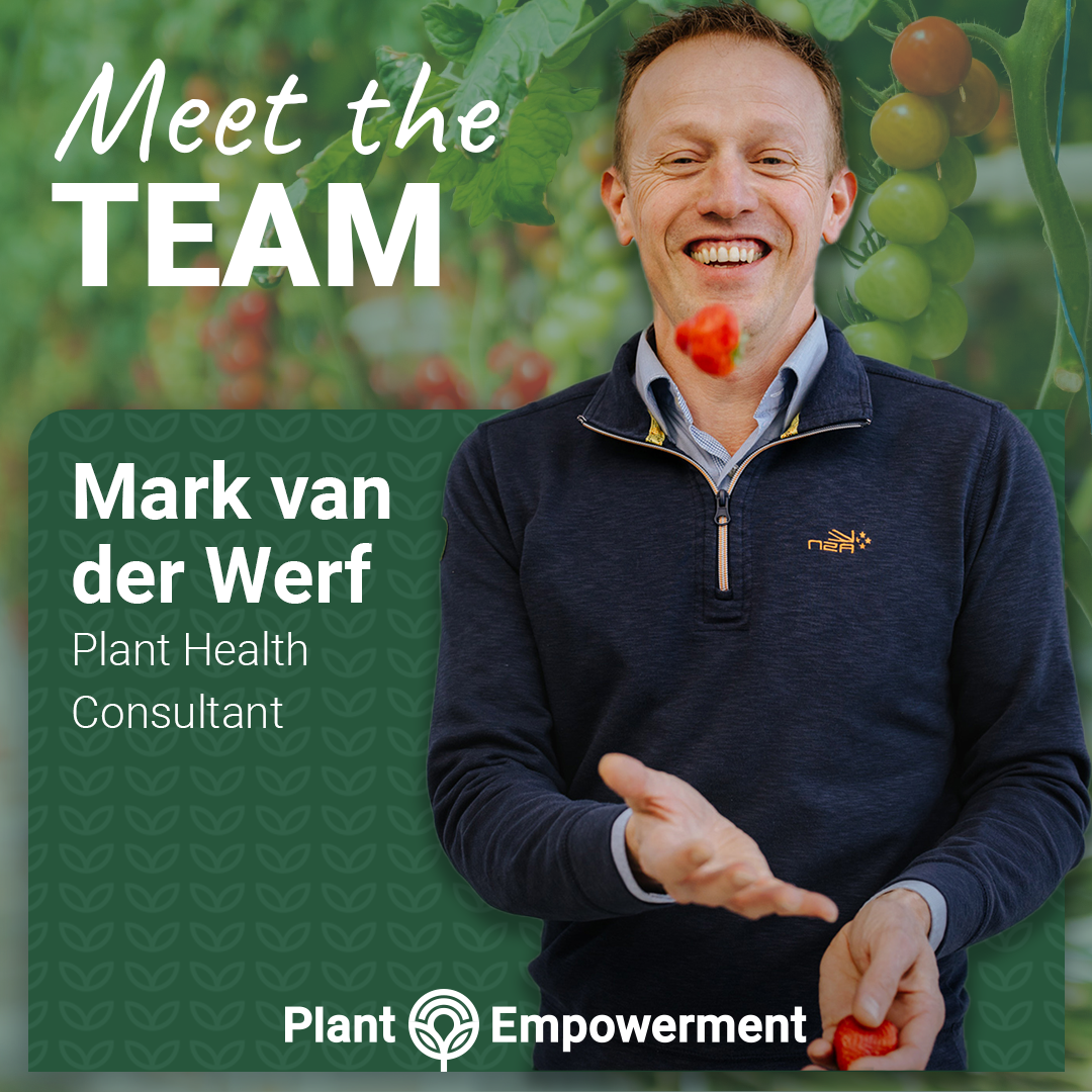 Meet the team: Mark van der Werf - Plant Empowerment