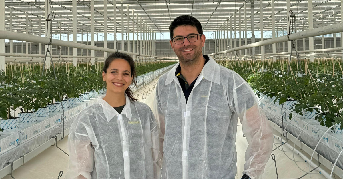 Qualitree: using Plant Empowerment for lavender paid off - Plant ...