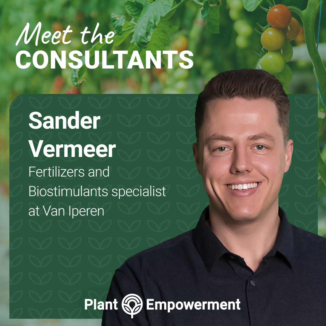 Meet the consultants: Sander Vermeer - Plant Empowerment