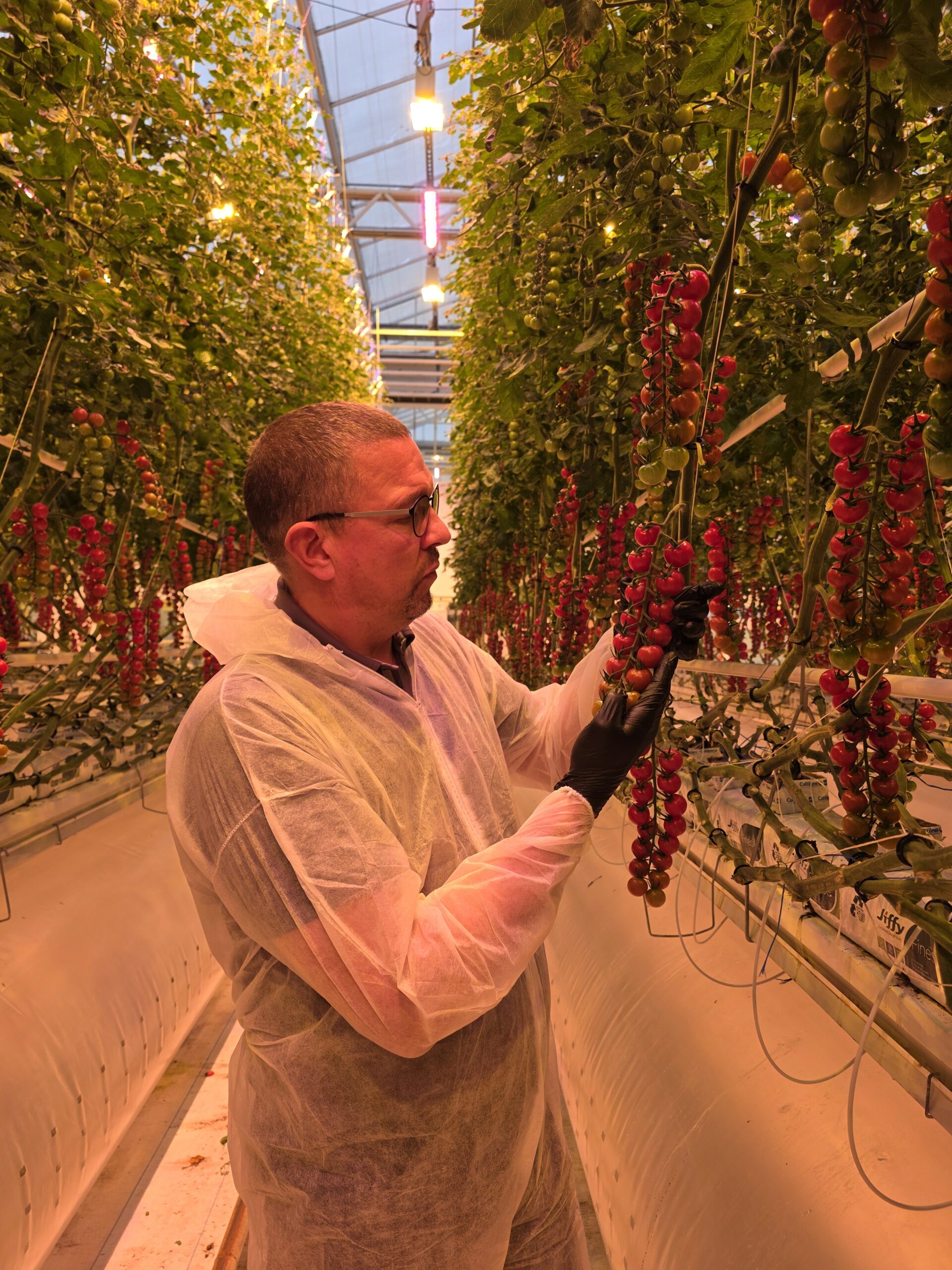 From inspiration to implementation: the value of the Plant Empowerment ...