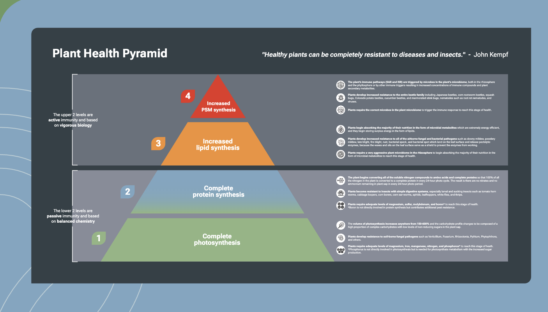 Understanding the Plant Health Pyramid - Plant Empowerment